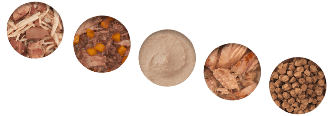 Why Feed Tiki Pets? Say Aloha to Real Food