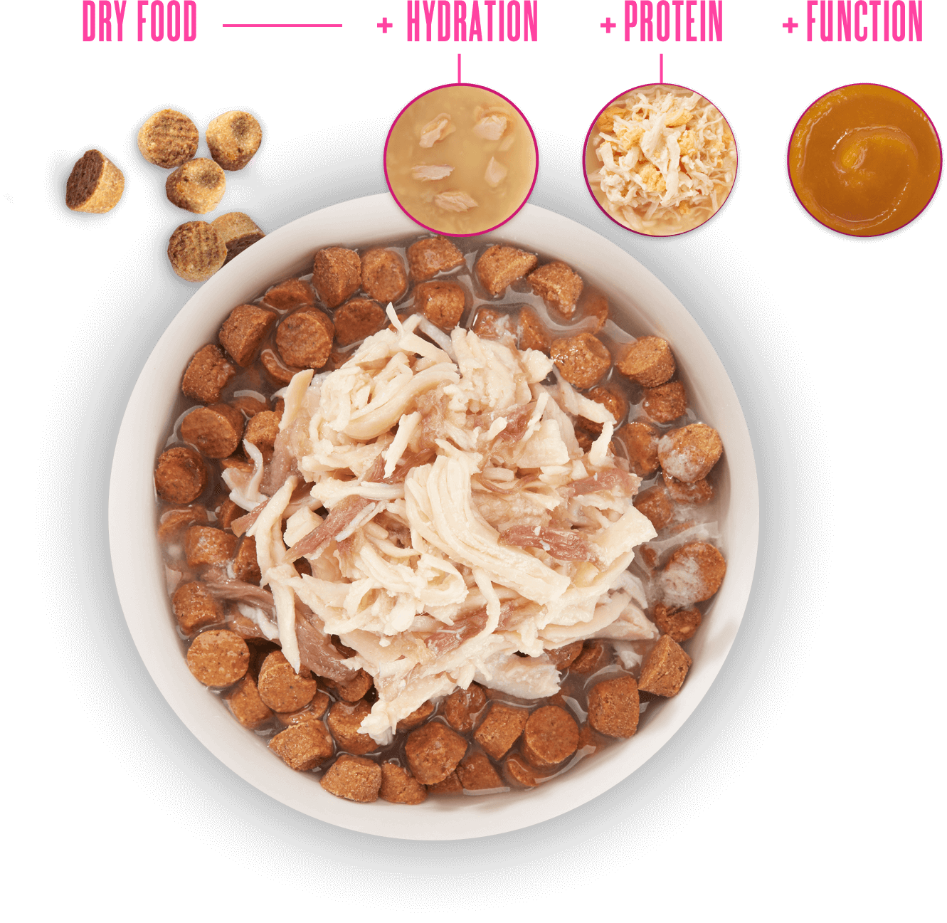 The Benefits of Mixed Feeding - Tiki Pets