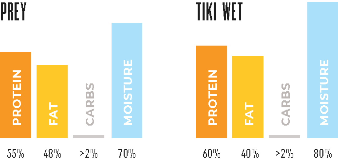 Cats are Obligate Carnivores: Understanding Your Cat’s Nutritional ...