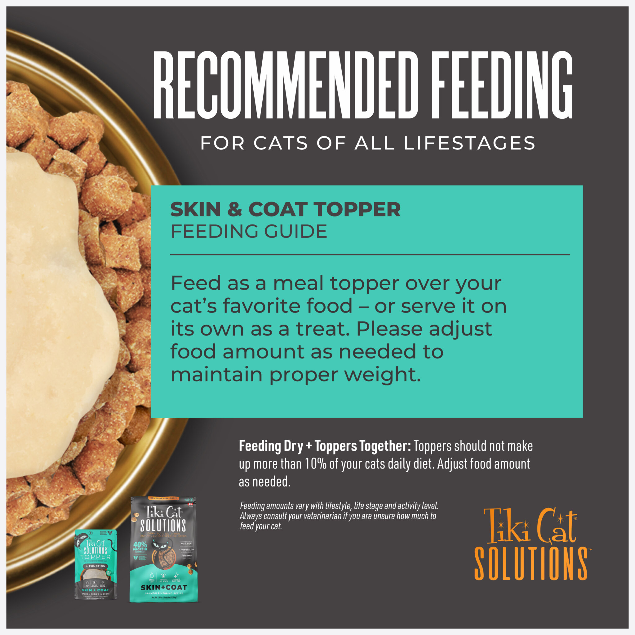 Topper: Salmon Recipe in Broth - Tiki Pets
